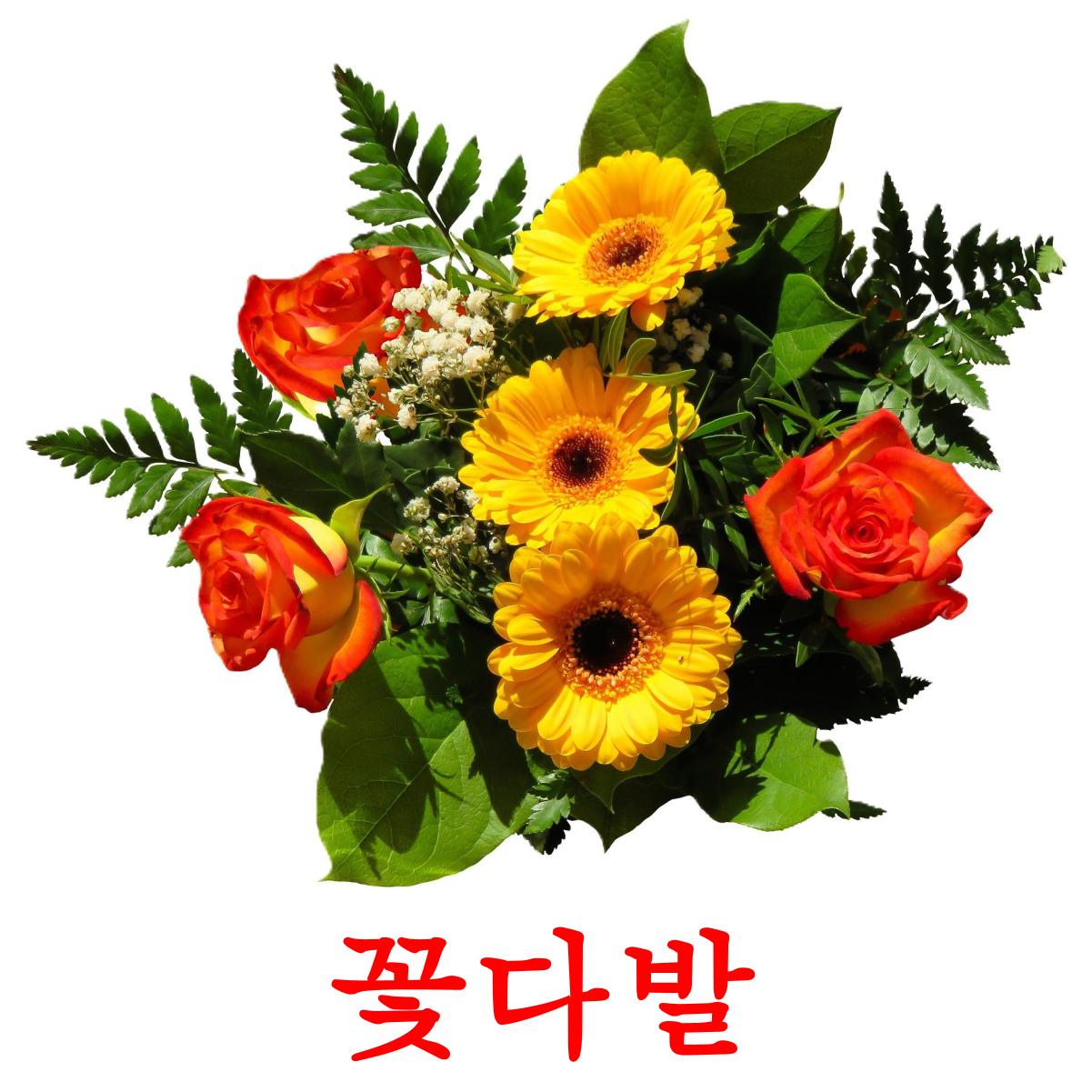 25 FREE Mother's day Flashcards | PDF | Korean Words