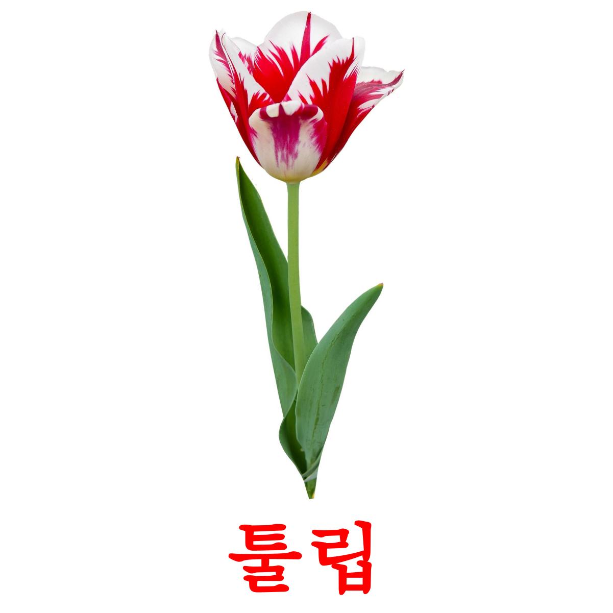 25 Printable Mother's day Flashcards in Korean (Free PDF)