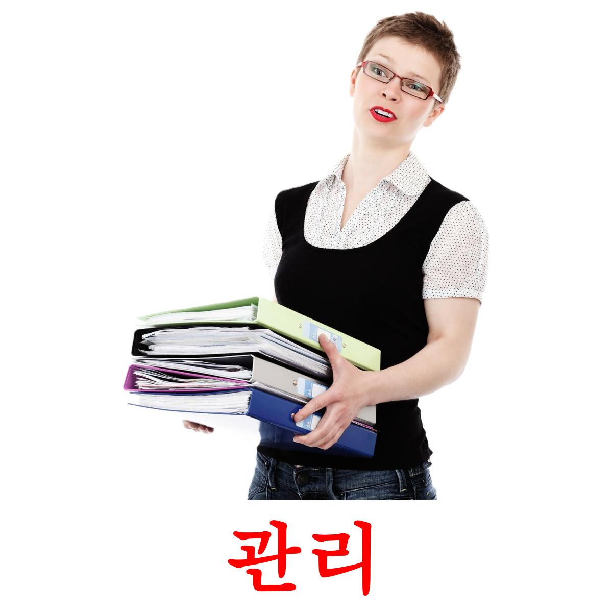 48 Printable Jobs and Occupations Flashcards in Korean (Free PDF)