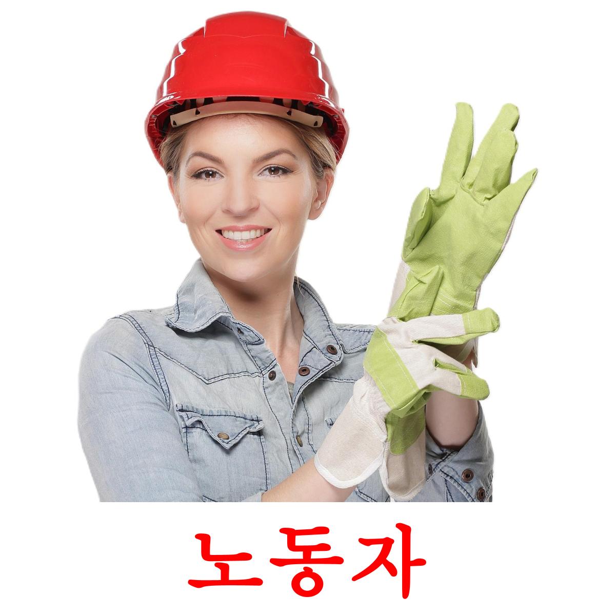 51 FREE Jobs and Occupations Flashcards | PDF | Korean Words