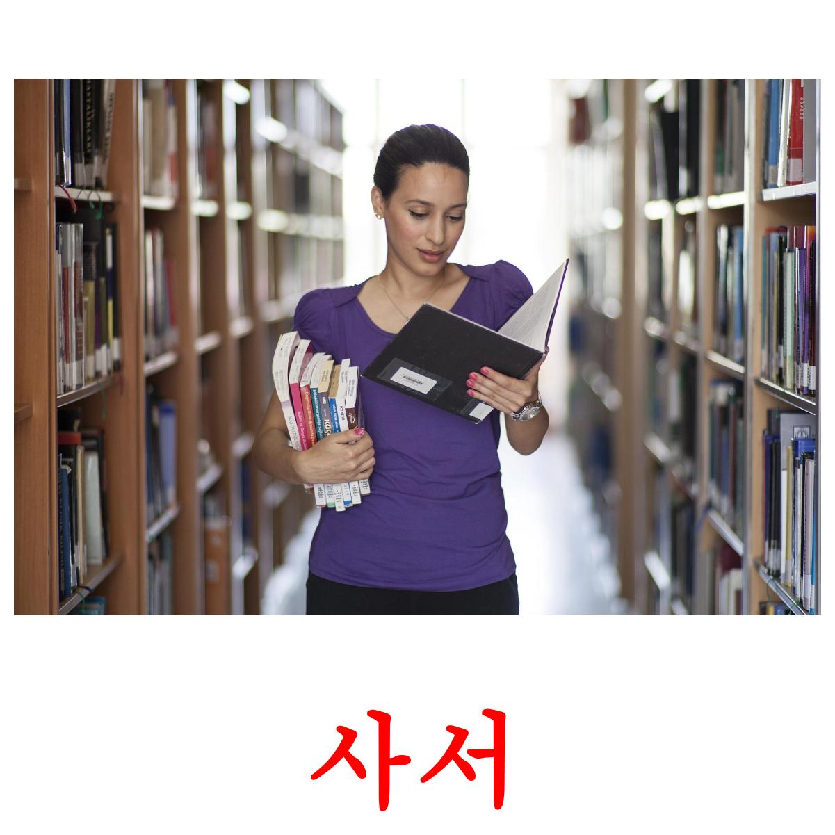 48 Printable Jobs and Occupations Flashcards in Korean (Free PDF)