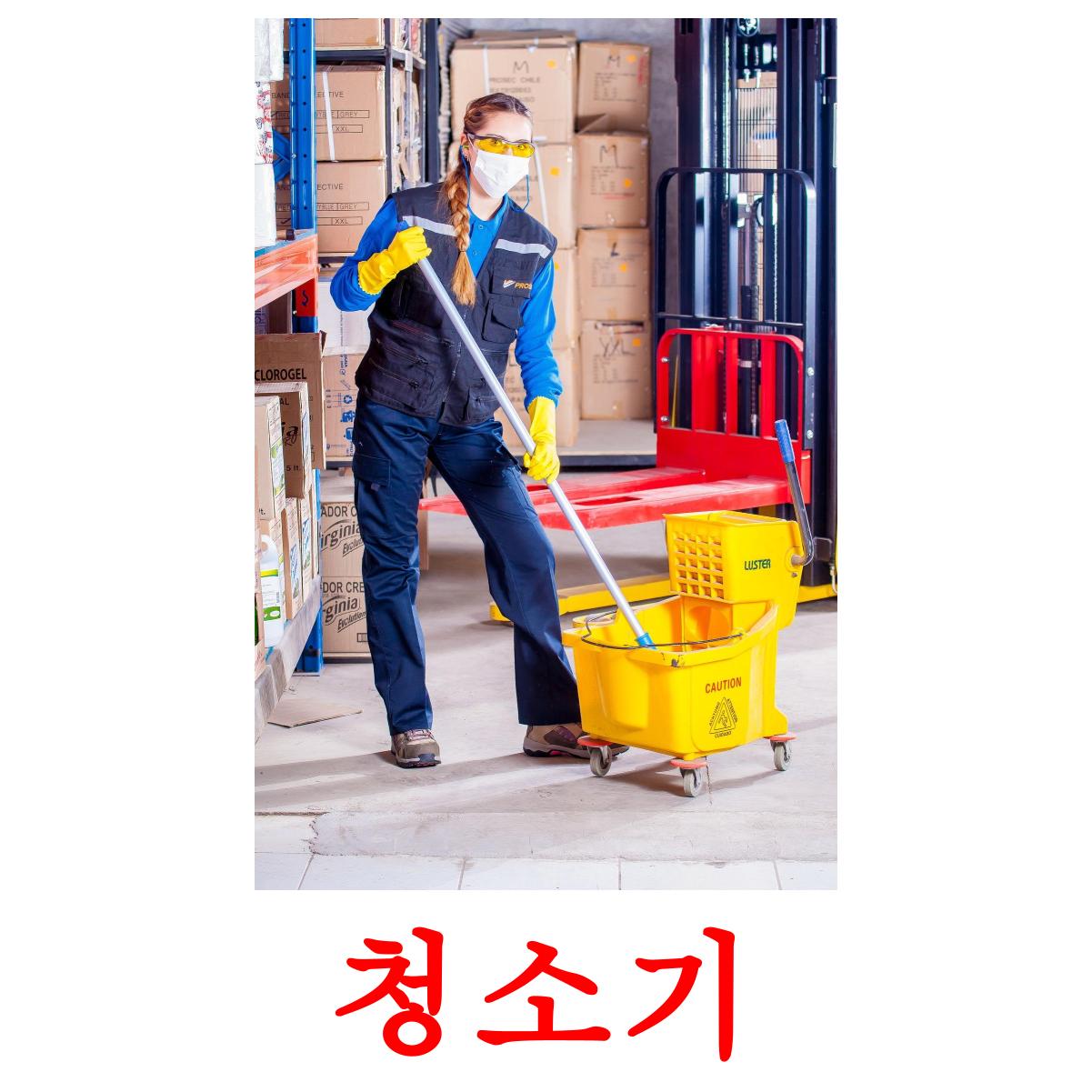 48 Printable Jobs and Occupations Flashcards in Korean (Free PDF)