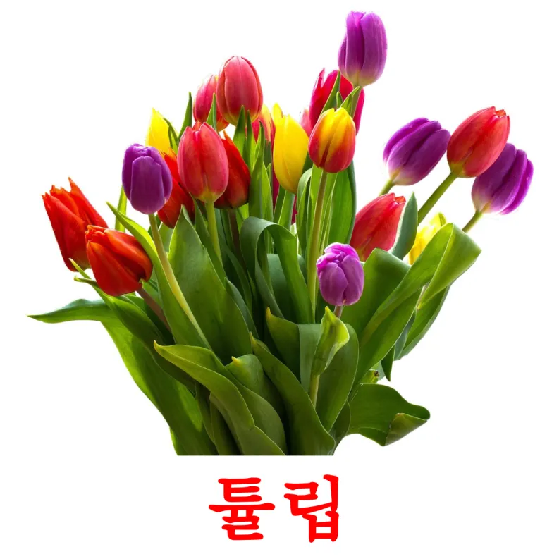 31 FREE Easter Flashcards | PDF | Korean Words