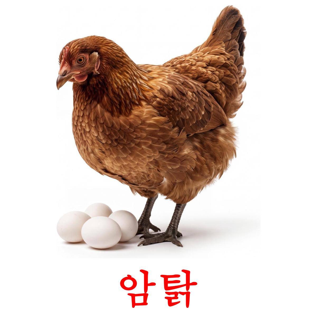 29 Printable Easter Flashcards in Korean (Free PDF)