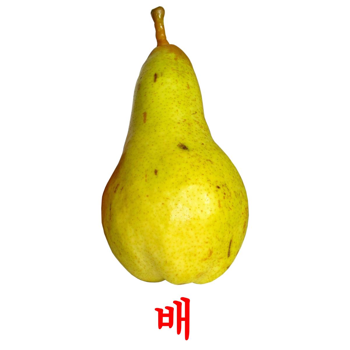 21 Printable Fruits Flashcards in Korean (Free PDF)