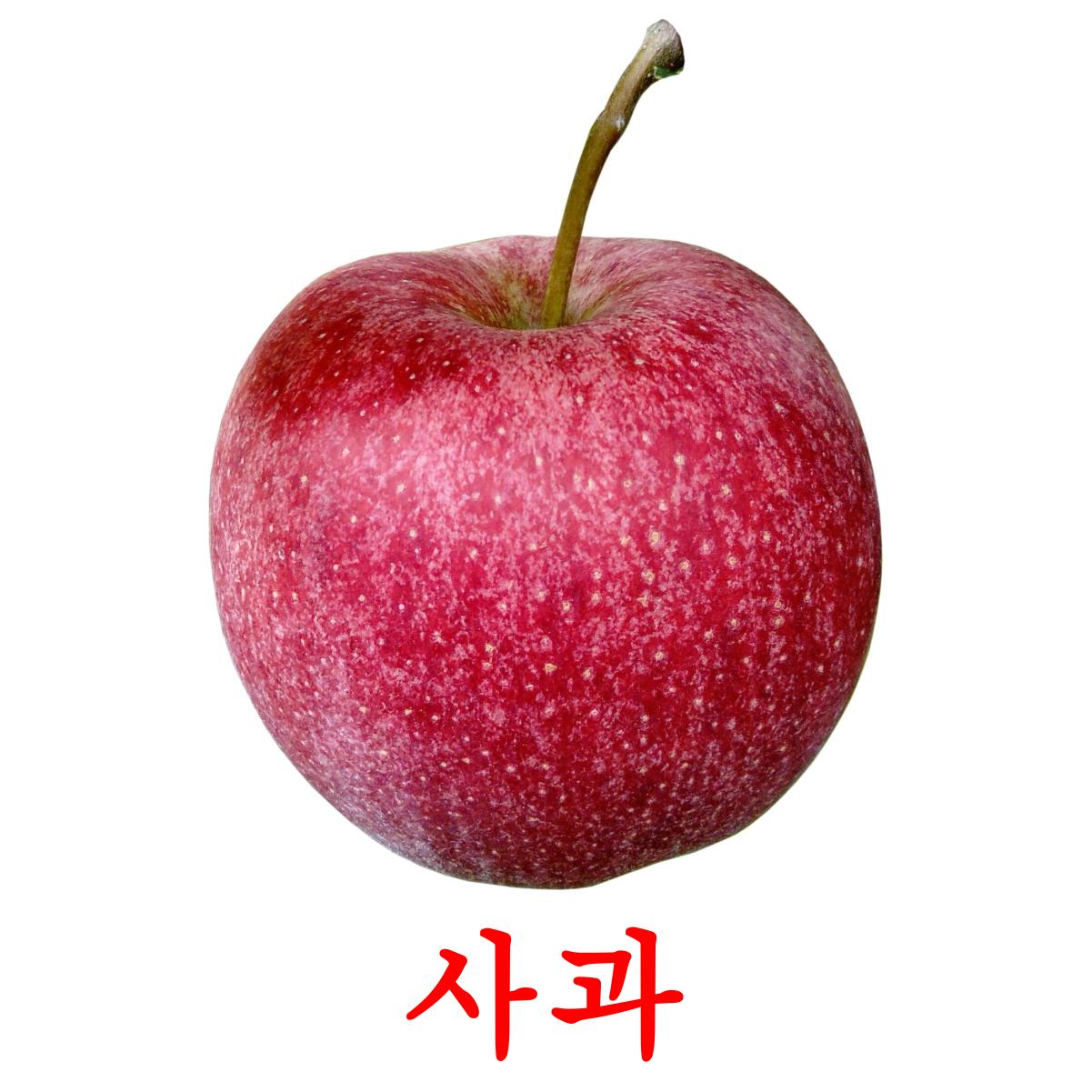 21 Printable Fruits Flashcards in Korean (Free PDF)
