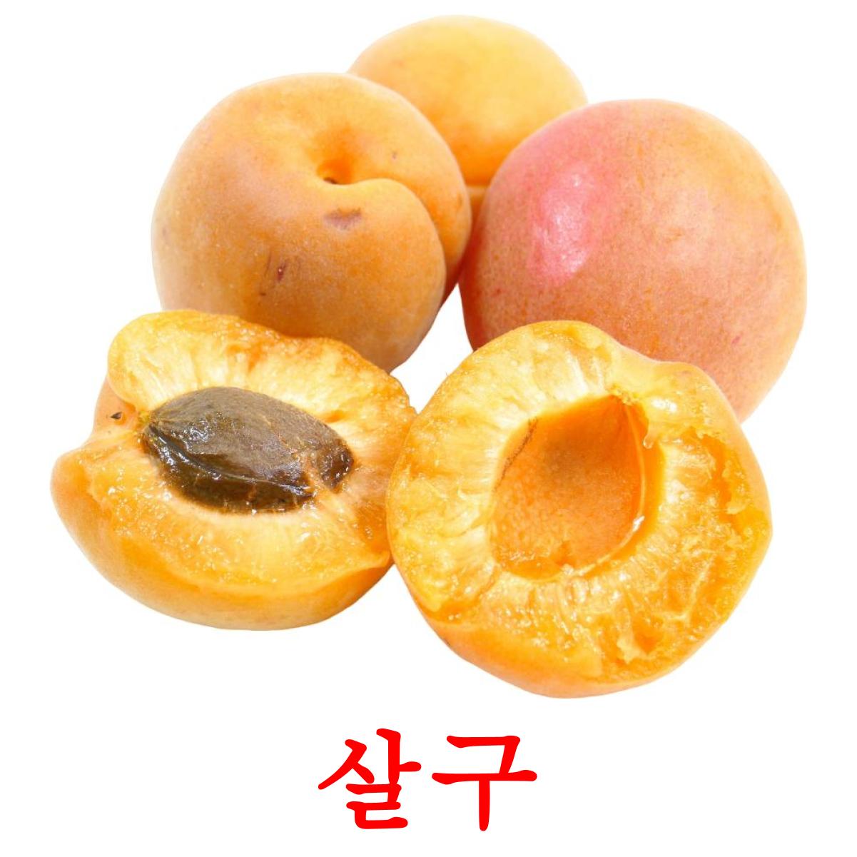 21 Printable Fruits Flashcards in Korean (Free PDF)