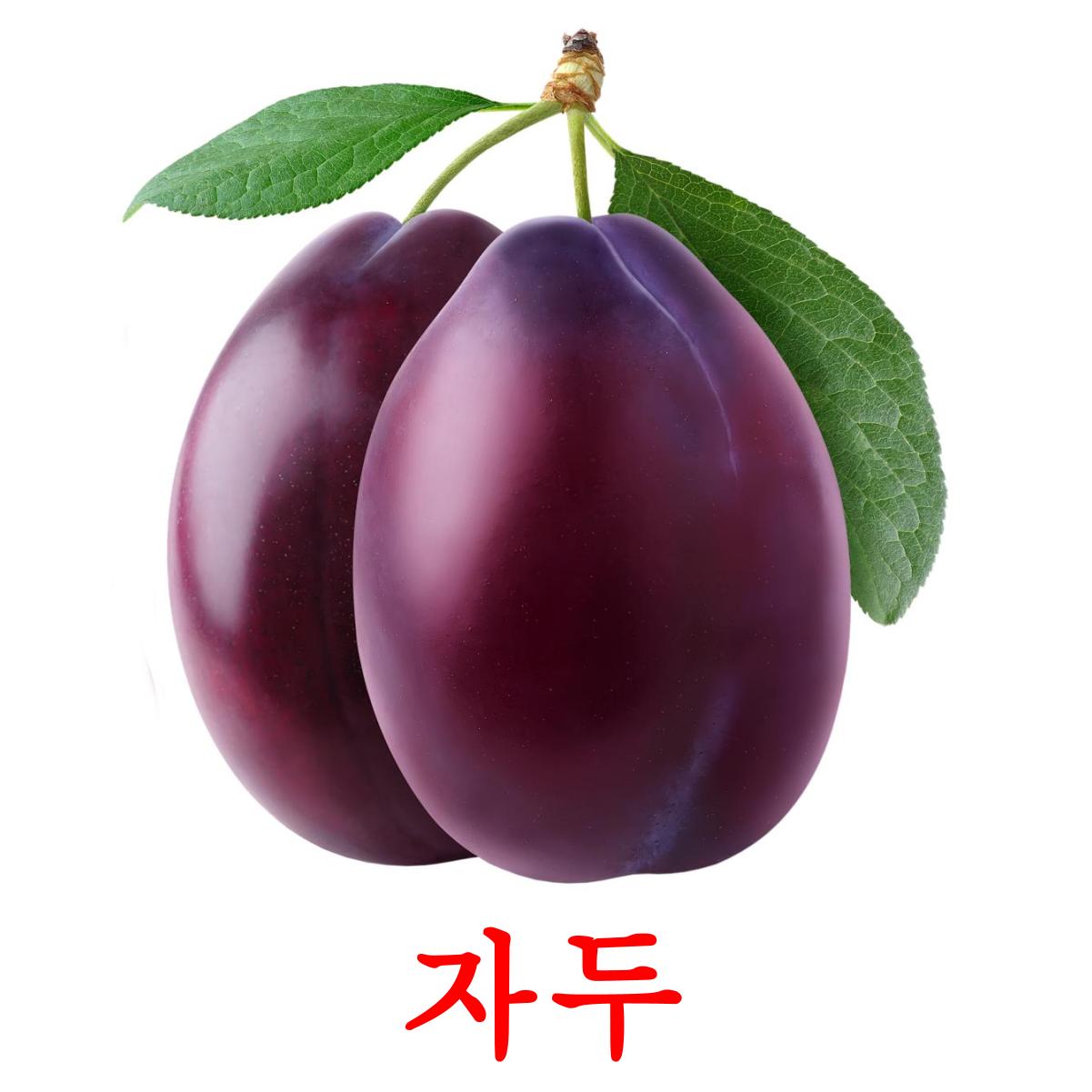 21 Printable Fruits Flashcards in Korean (Free PDF)