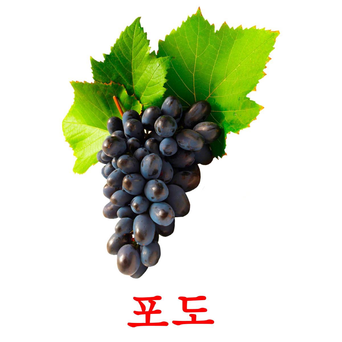 21 Printable Fruits Flashcards in Korean (Free PDF)