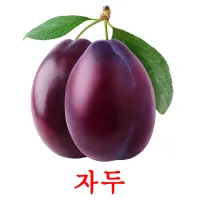 20 FREE Fruits Flashcards in 4 PDF formats | Korean Pictures