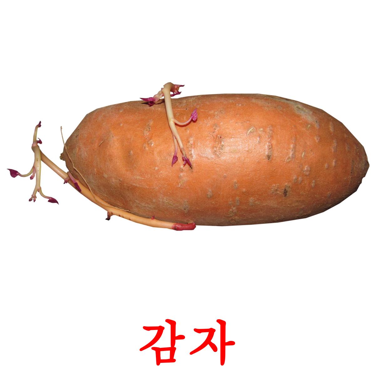 63 FREE Korean Food Flashcards | PDF