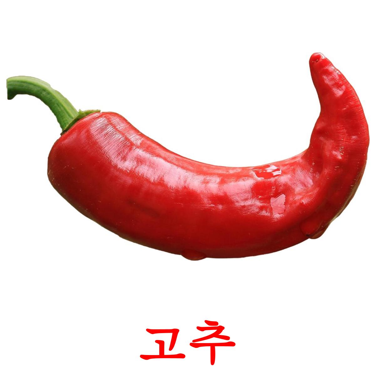 63 FREE Korean Food Flashcards | PDF