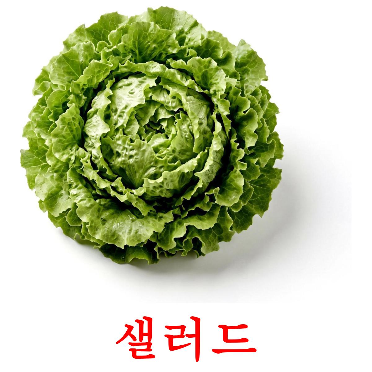 30 Printable Vegetables Flashcards in Korean (Free PDF)