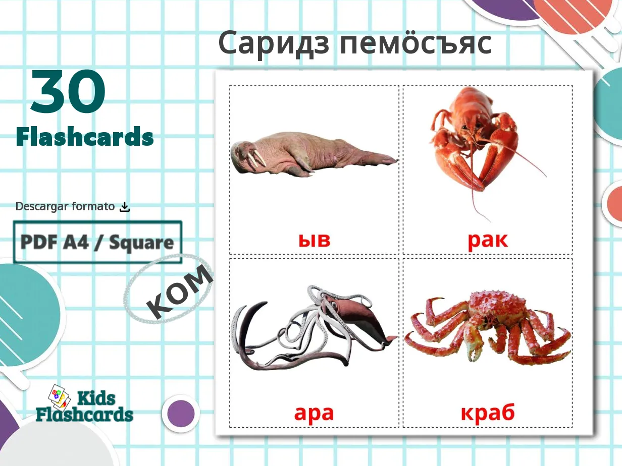 30 Tarjetas de Aprendizaje de Animales Marinos GRATIS en PDF | Imágenes ...