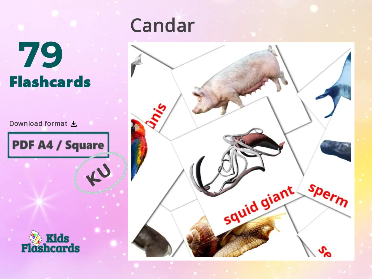 57 FREE Kurdish(kurmanj) Animals Flashcards | PDF