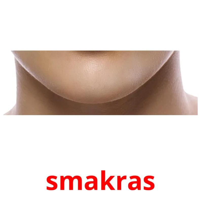 20 FREE Face Flashcards | PDF | Lithuanian Words