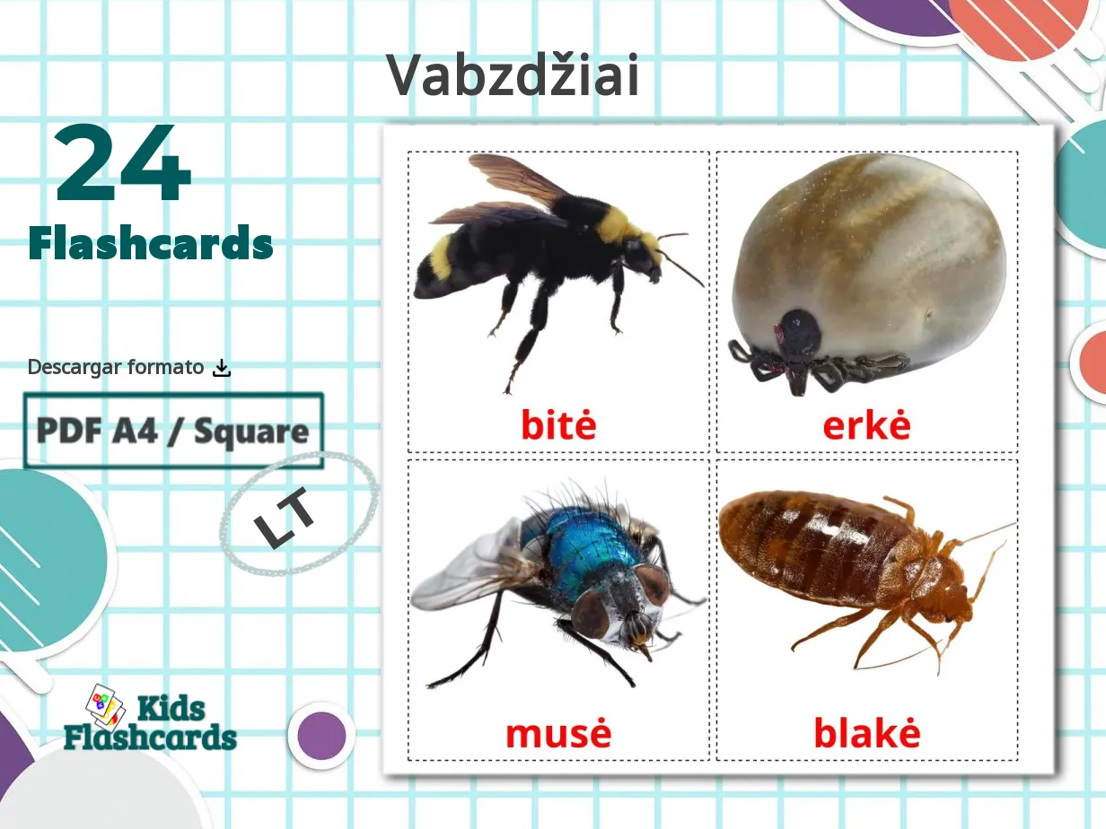 24 Tarjetas de Aprendizaje de Insectos GRATIS en PDF | Imágenes en Lituano