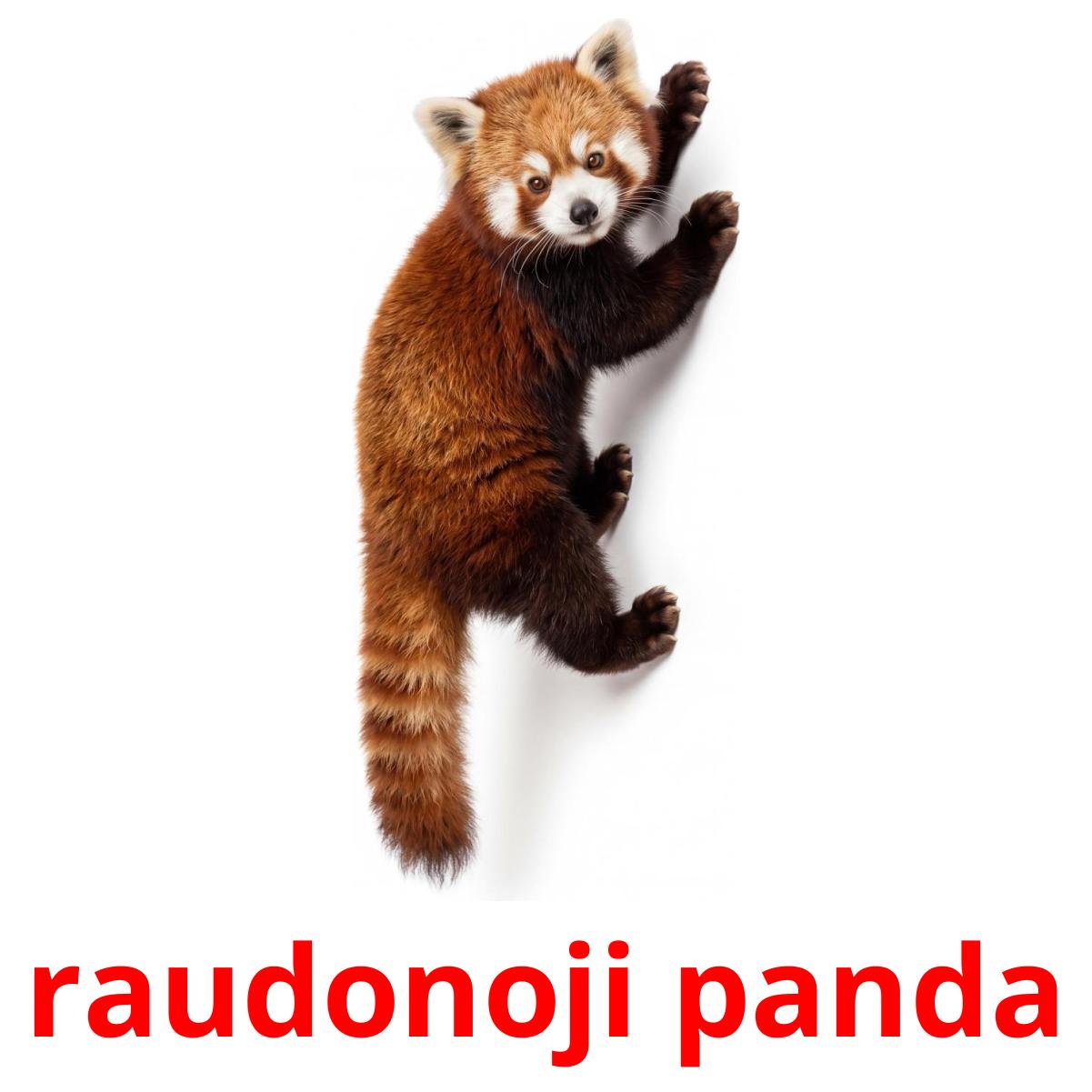 21 Free Jungle animals Flashcards in lithuanian (PDF files)