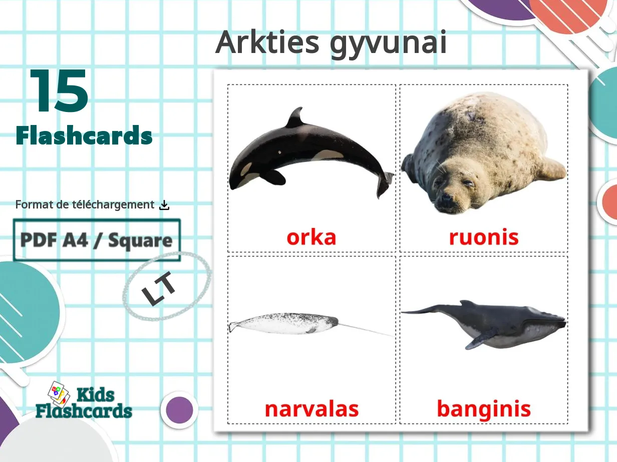 15 Cartes de Vocabulaire pour Enfants GRATUITES Les Animaux de l ...