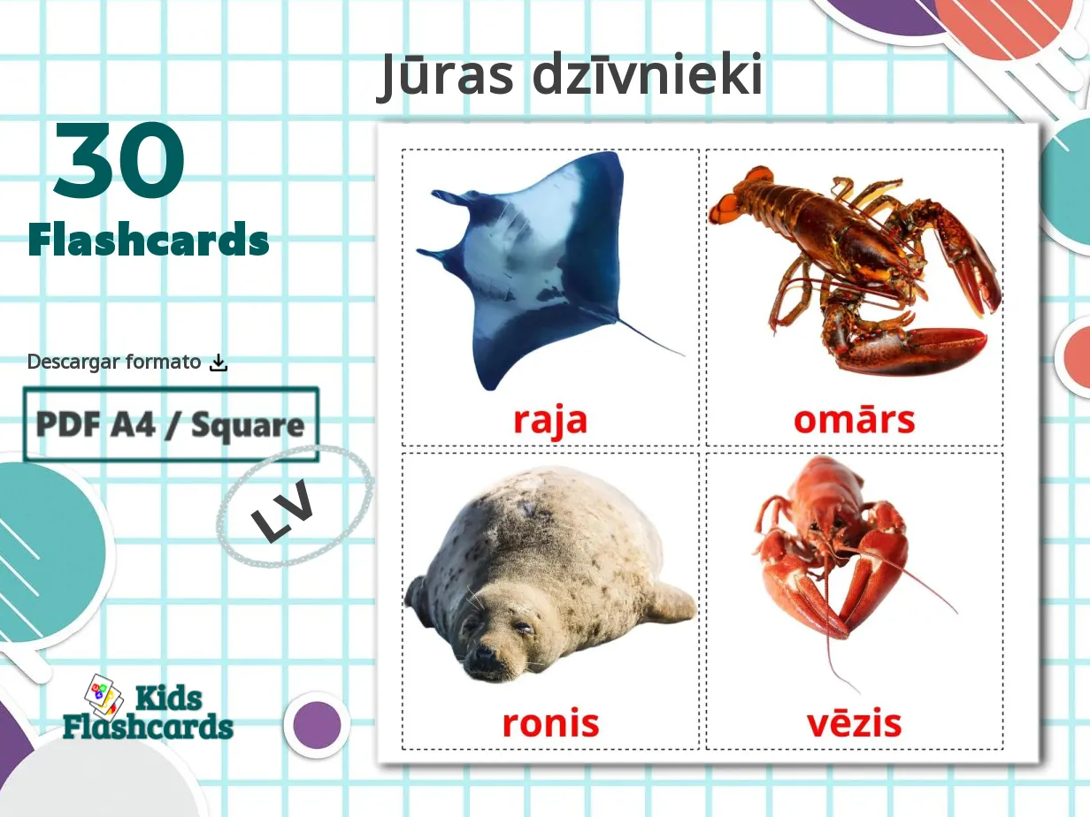 30 Tarjetas de Aprendizaje de Animales Marinos GRATIS en PDF | Imágenes ...