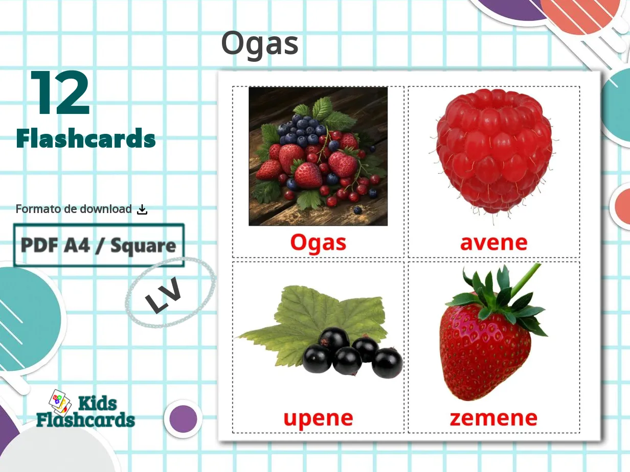 12 Cartões linguagem de Bagas GRÁTIS em 4 formatos PDF | Letão Pictures