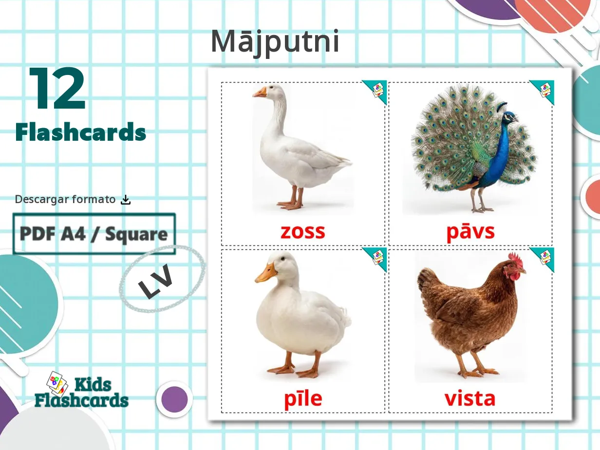 12 Tarjetas de Aprendizaje de Aves de granja GRATIS en PDF | Imágenes ...