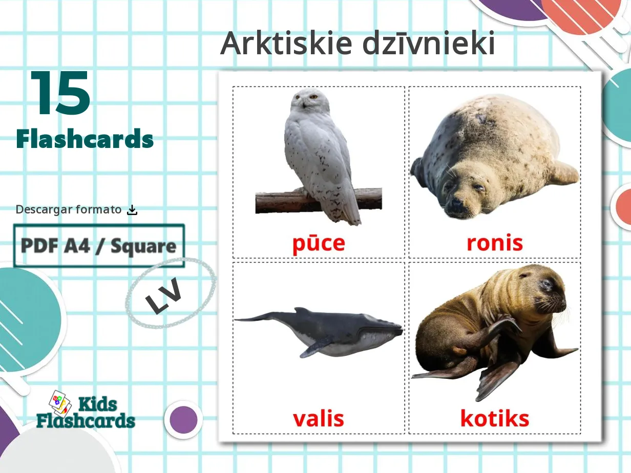 15 Tarjetas de Aprendizaje de Animales del Ártico GRATIS en PDF ...