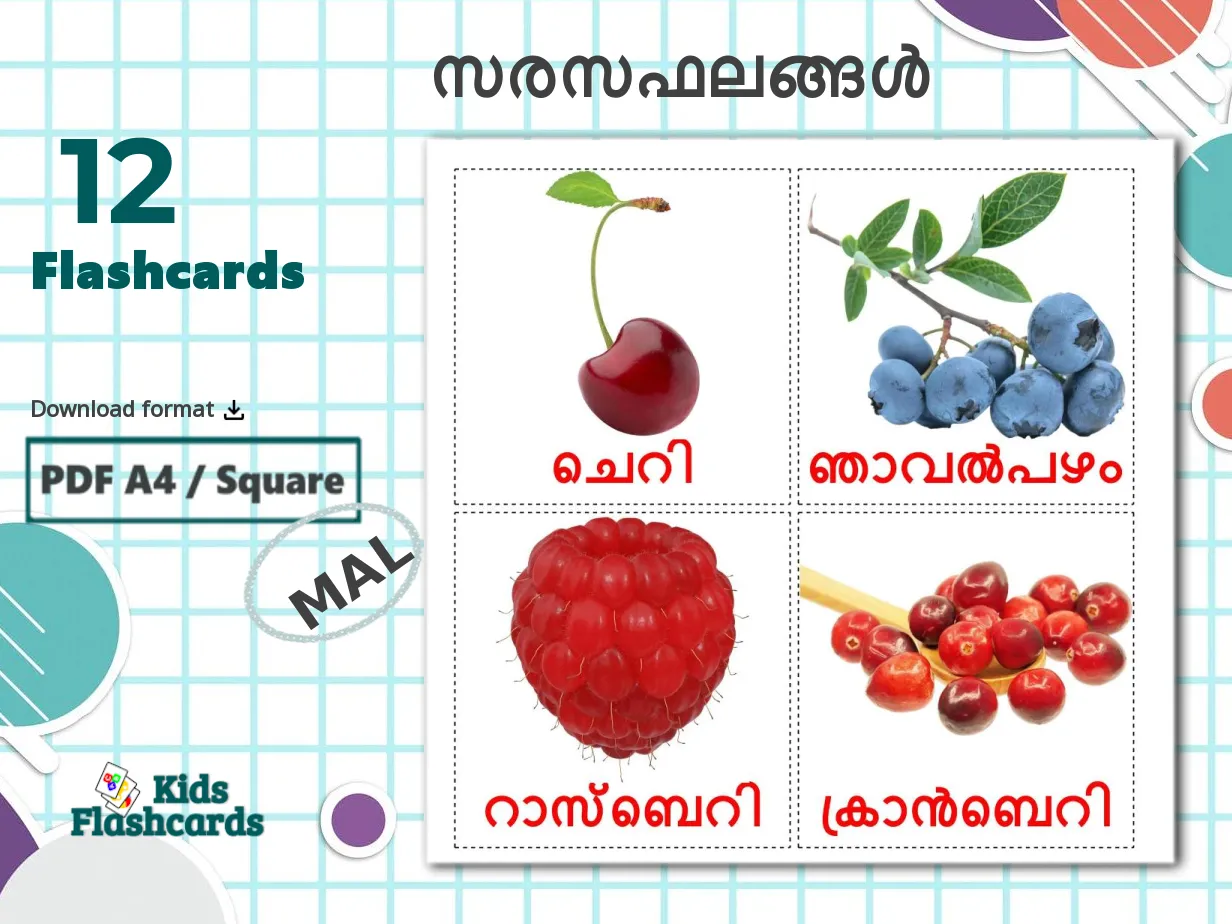 12 Printable Berries Flashcards in Malayalam (Free PDF)