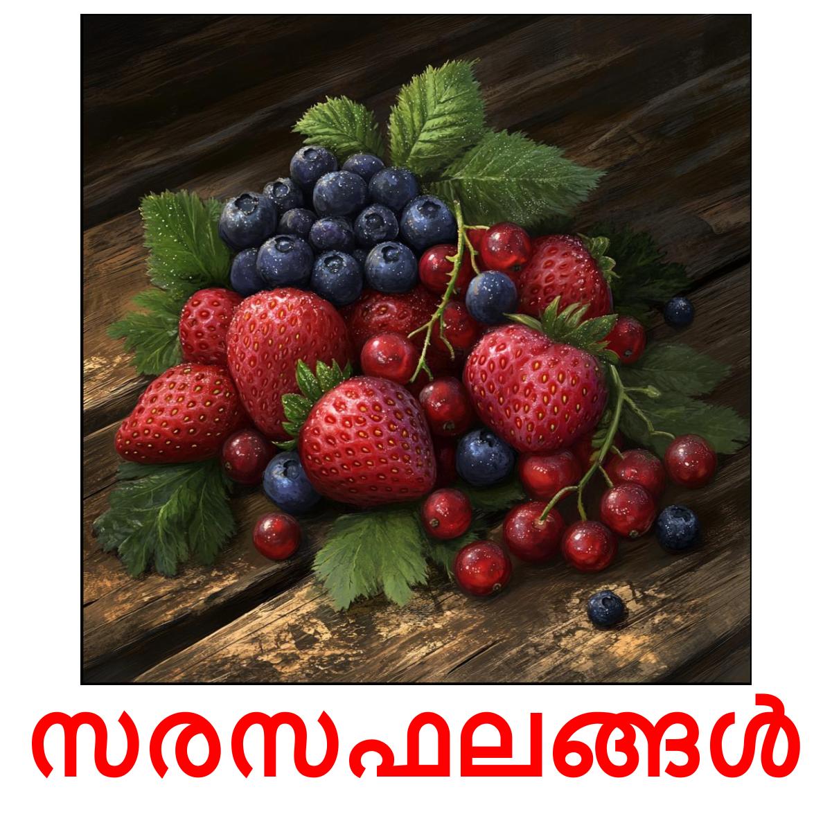 12 Printable Berries Flashcards in Malayalam (Free PDF)