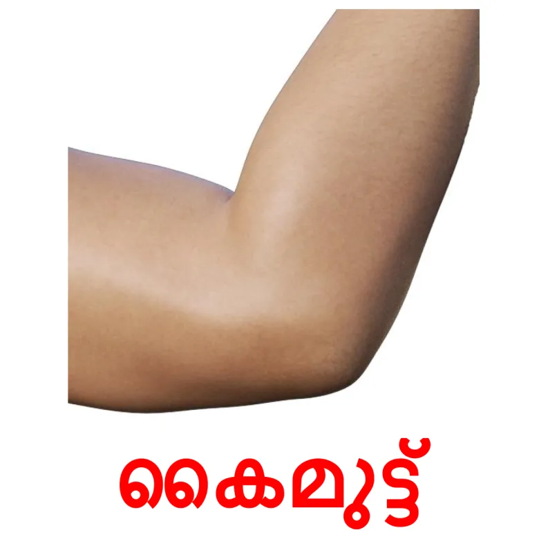 26 FREE Body Parts Flashcards | PDF | Malayalam Words