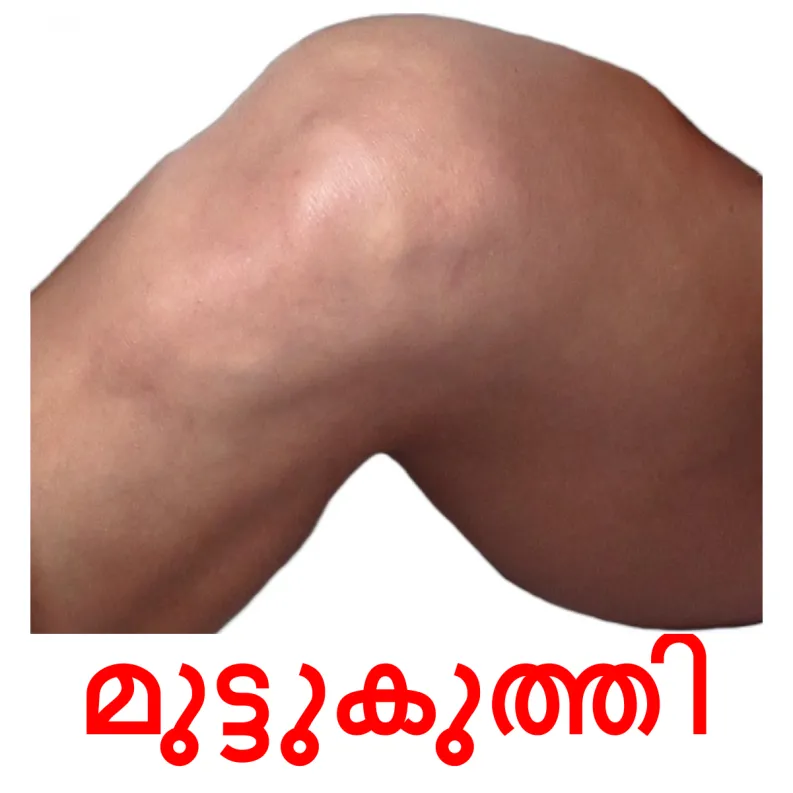 26 FREE Body Parts Flashcards | PDF | Malayalam Words
