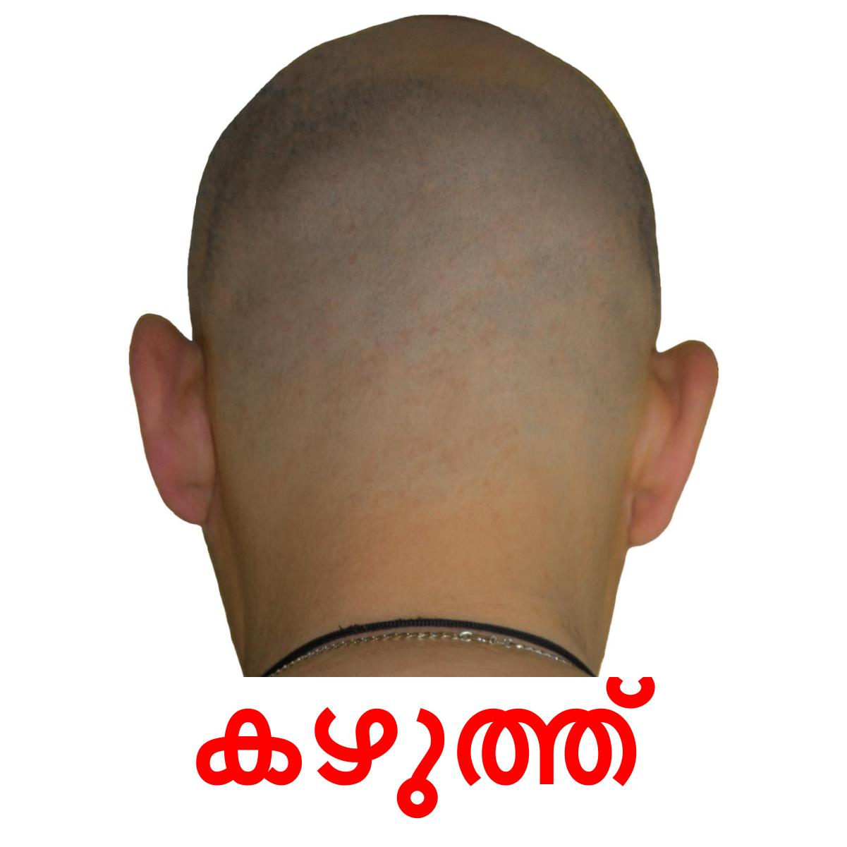 26 Printable Body Parts Flashcards in Malayalam (Free PDF)