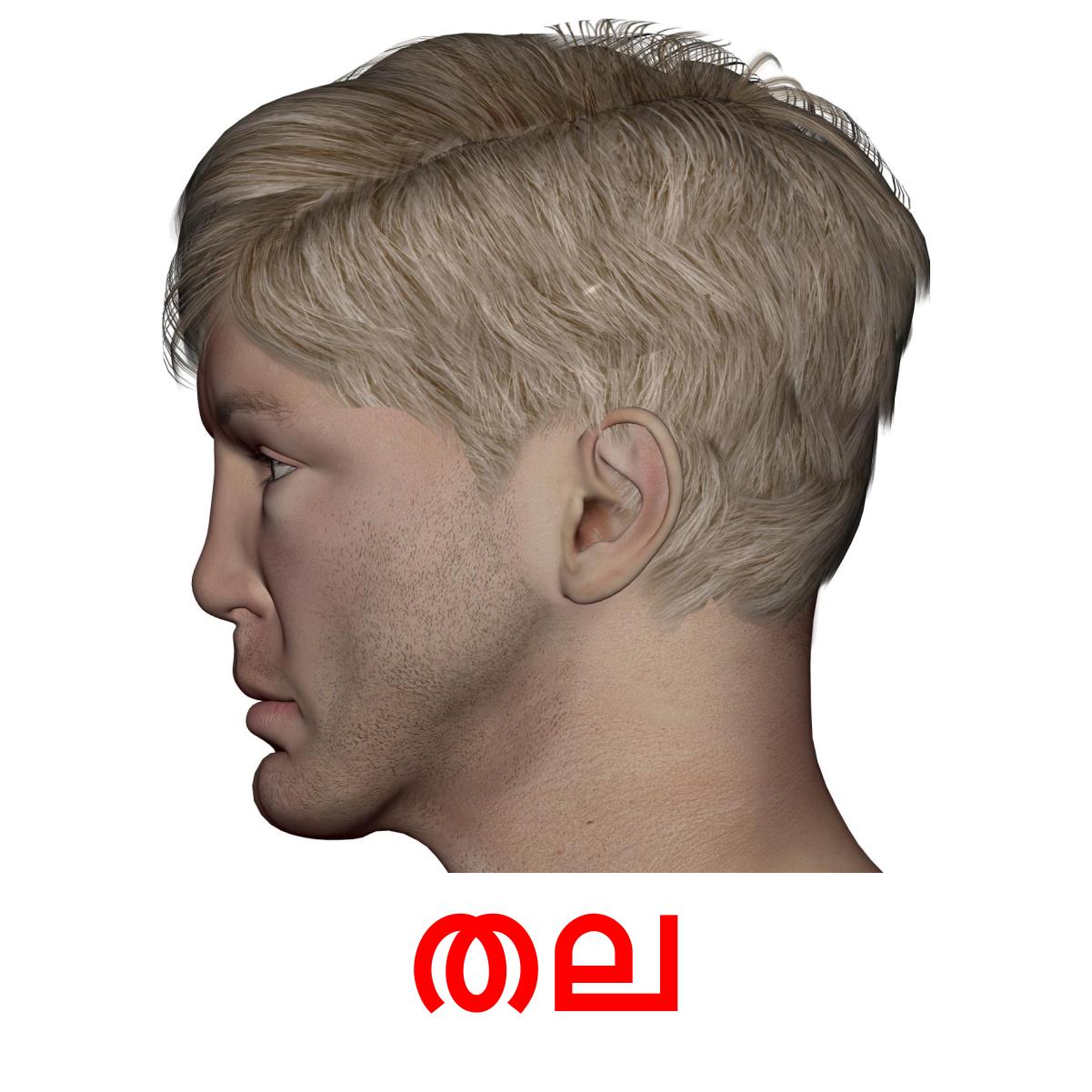 26 Printable Body Parts Flashcards in Malayalam (Free PDF)