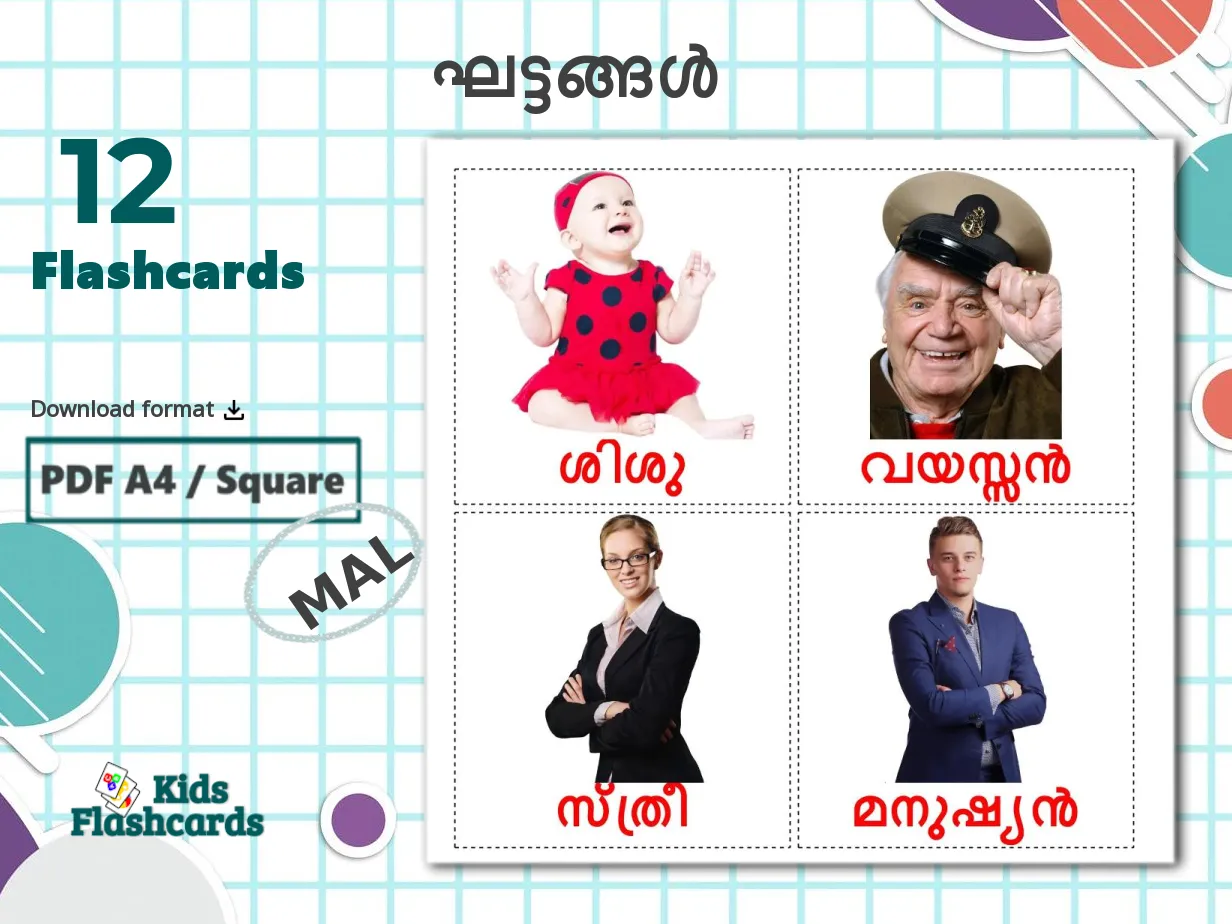 12 Printable Stages Flashcards in Malayalam (Free PDF)