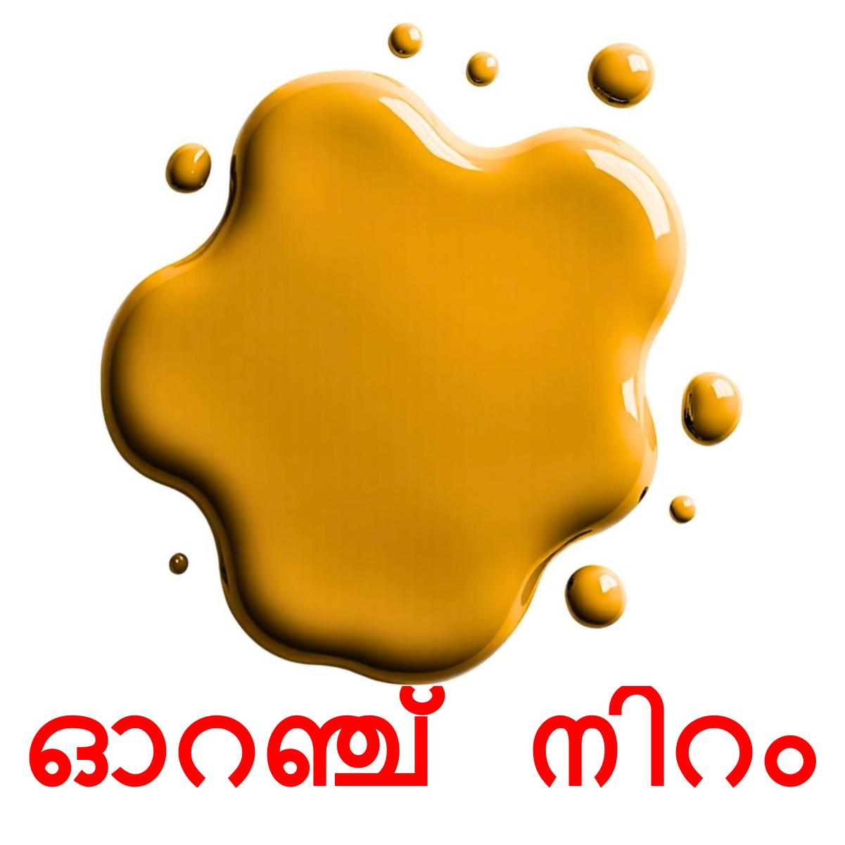 11 Printable Colors Flashcards in Malayalam (Free PDF)