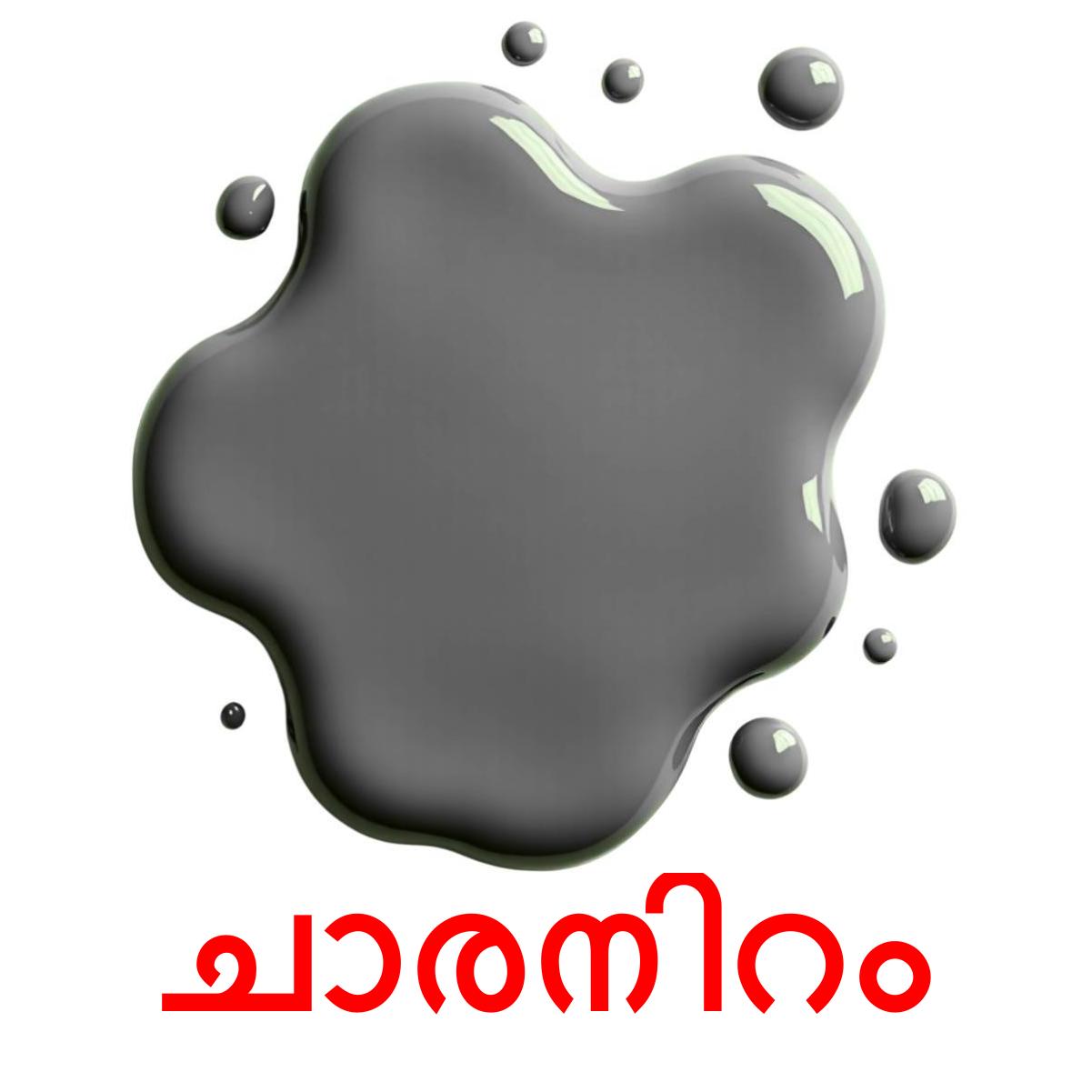 11 Printable Colors Flashcards in Malayalam (Free PDF)