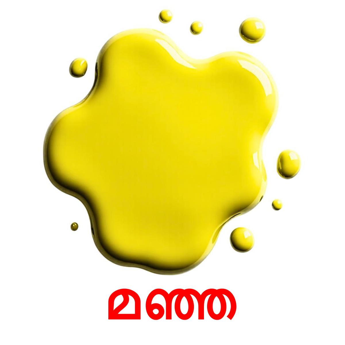 11 Printable Colors Flashcards in Malayalam (Free PDF)