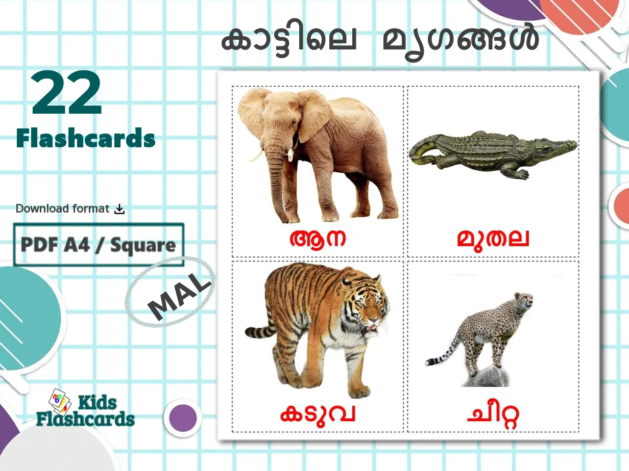 22 Printable Jungle animals Flashcards in Malayalam (Free PDF)