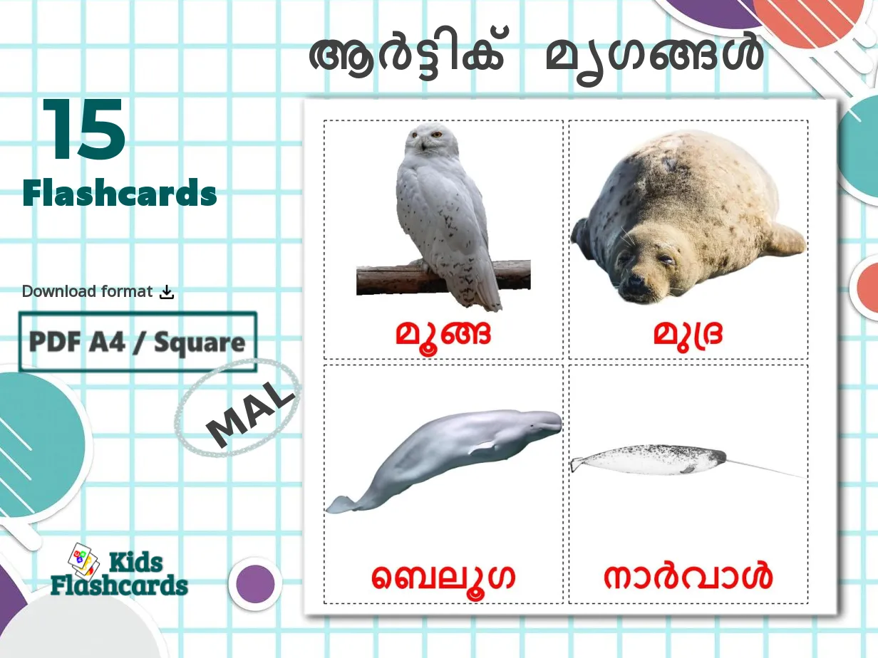 15 Printable Arctic animals Flashcards in Malayalam (Free PDF)