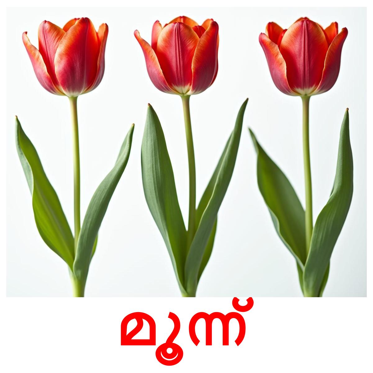 10 Printable Counting Flashcards in Malayalam (Free PDF)