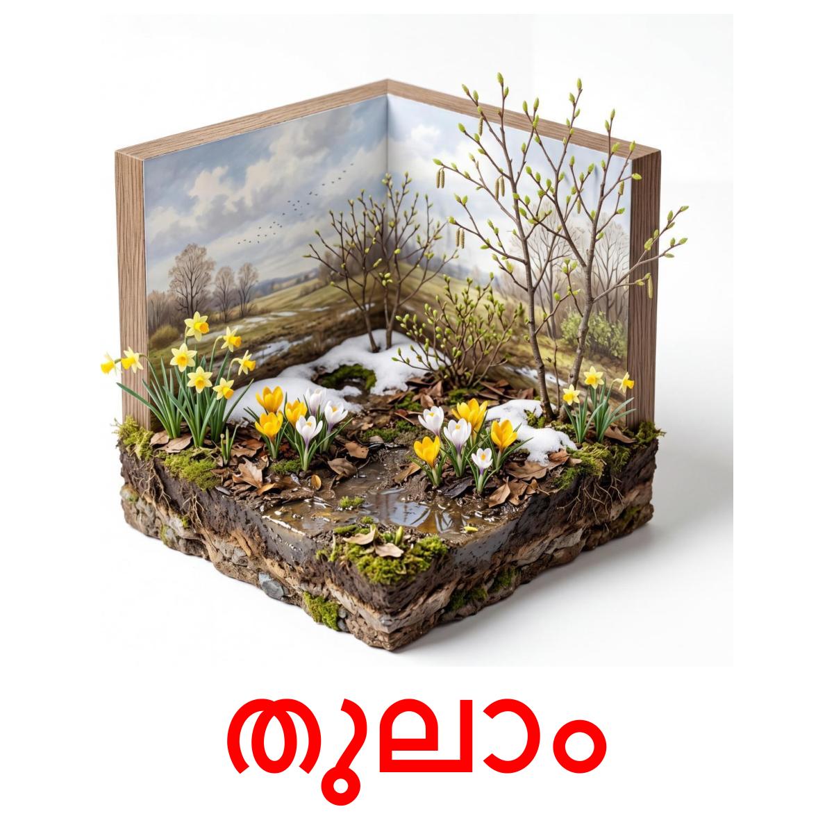 13 Printable Months of the Year Flashcards in Malayalam (Free PDF)