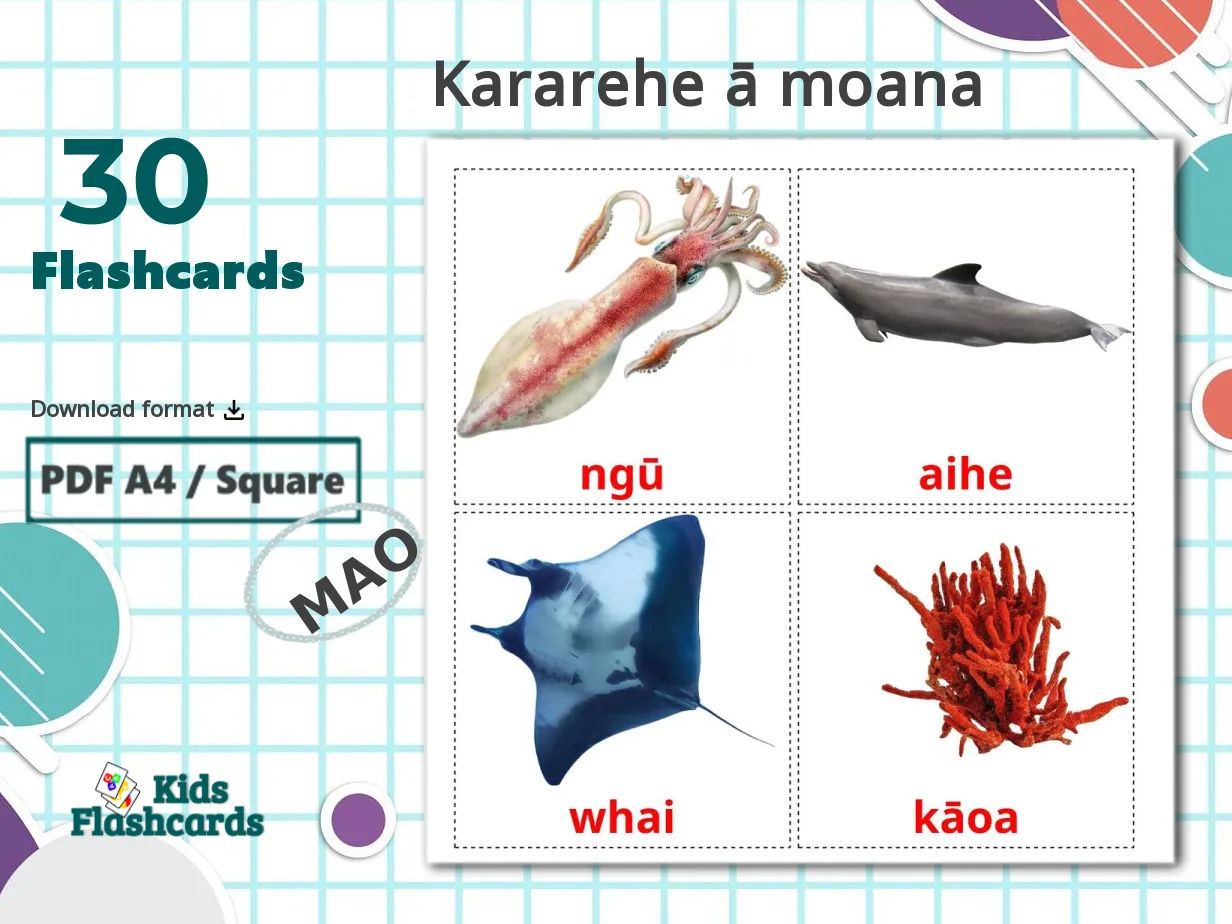 30 FREE Sea animals Flashcards | PDF | Maori Words