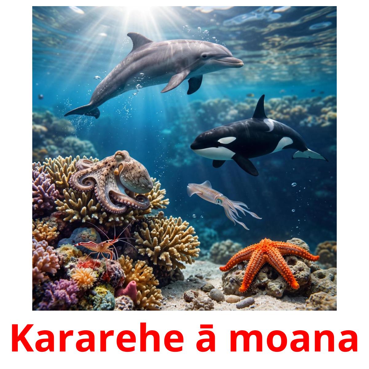 30 Printable Sea animals Flashcards in Maori (Free PDF)