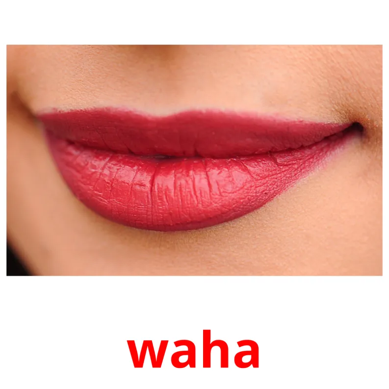 20 Cartes Nomenclature Montessori Parties du Visage GRATUIT à Imprimer ...