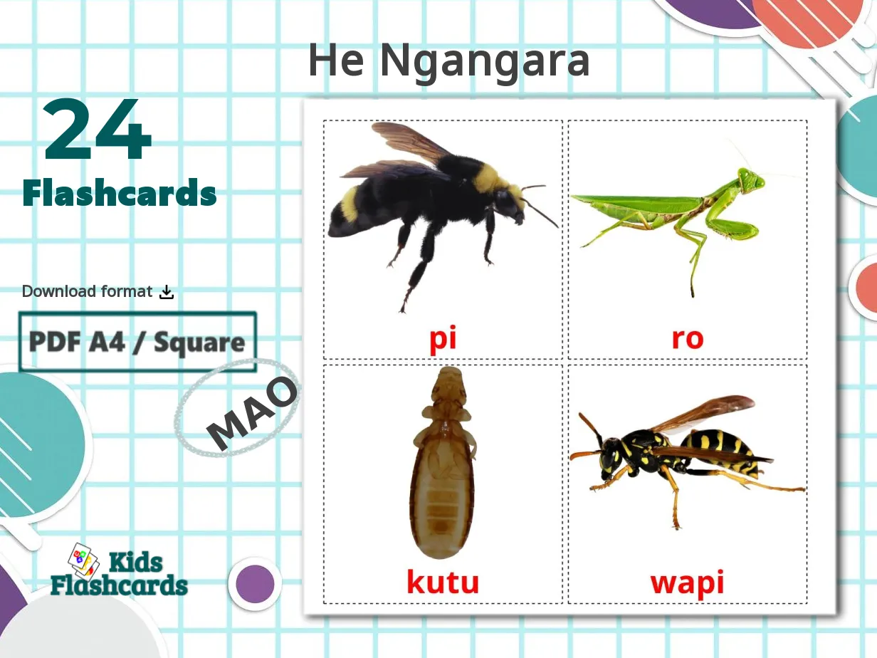 24 Printable Insects Flashcards in Maori (Free PDF)