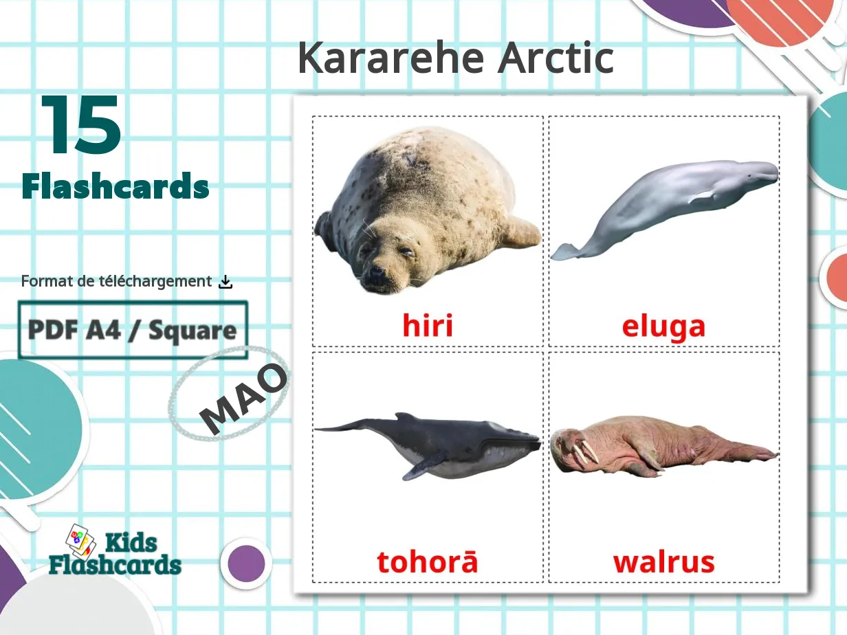 15 Cartes Nomenclature Montessori Les Animaux de l'Arctique GRATUIT à ...