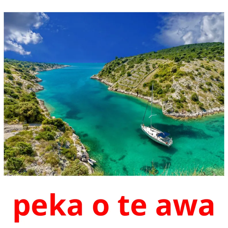 30 Tarjetas de Aprendizaje de Cuerpos de agua GRATIS en PDF | Imágenes ...