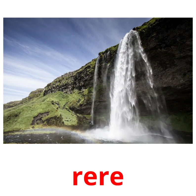 30 GRATIS Waterlichamen Flashcards in 4 PDF formaten | Maori Afbeeldingen
