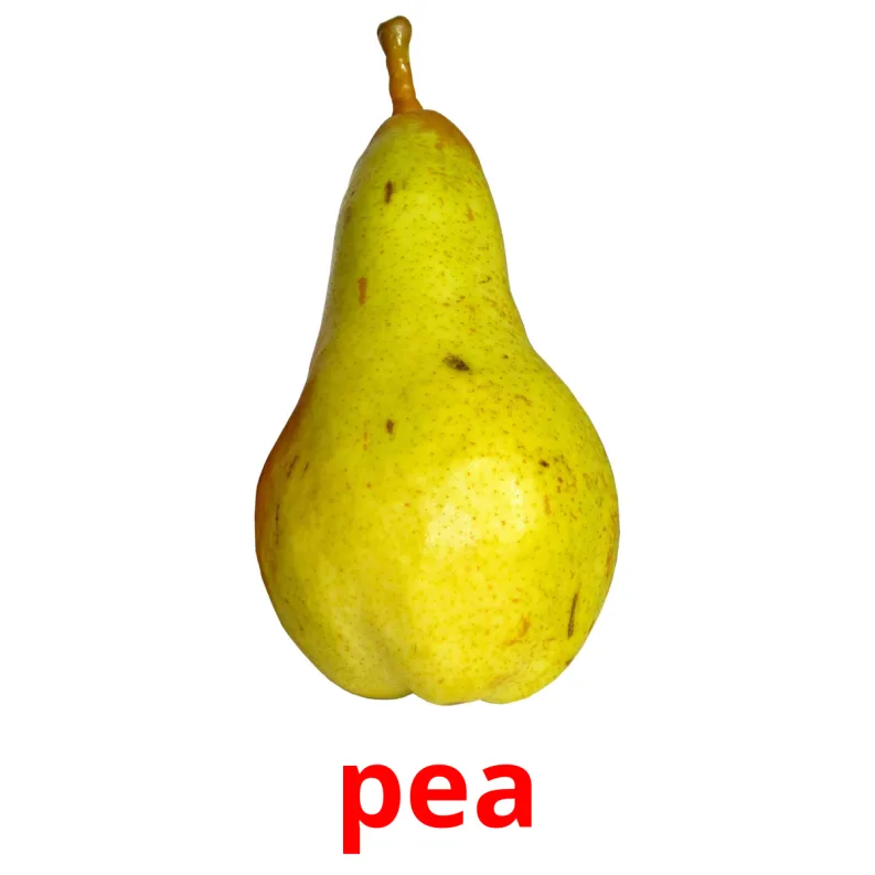 20 FREE Fruits Flashcards | PDF | Maori Words