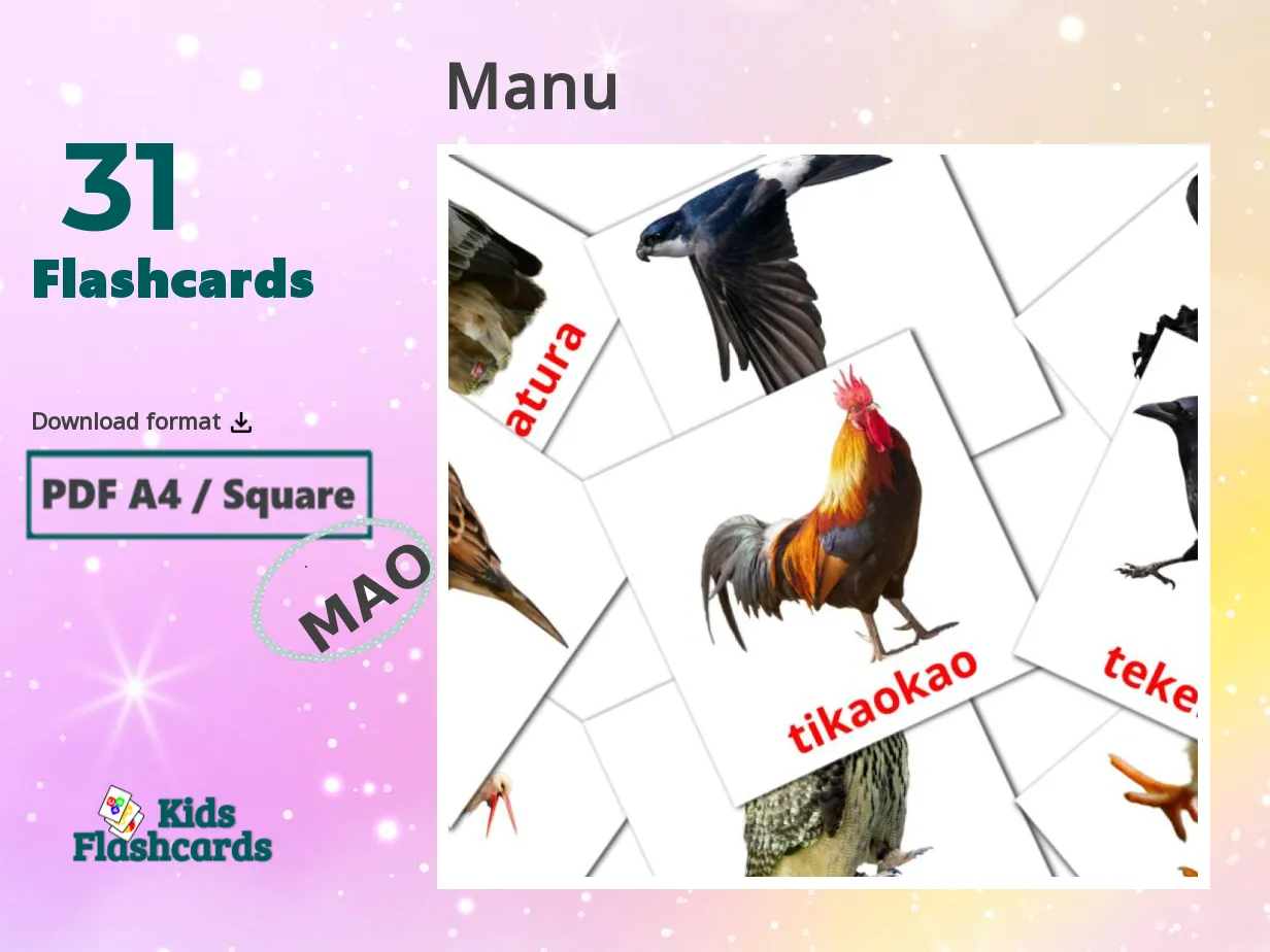 31 FREE Maori Birds Flashcards | PDF